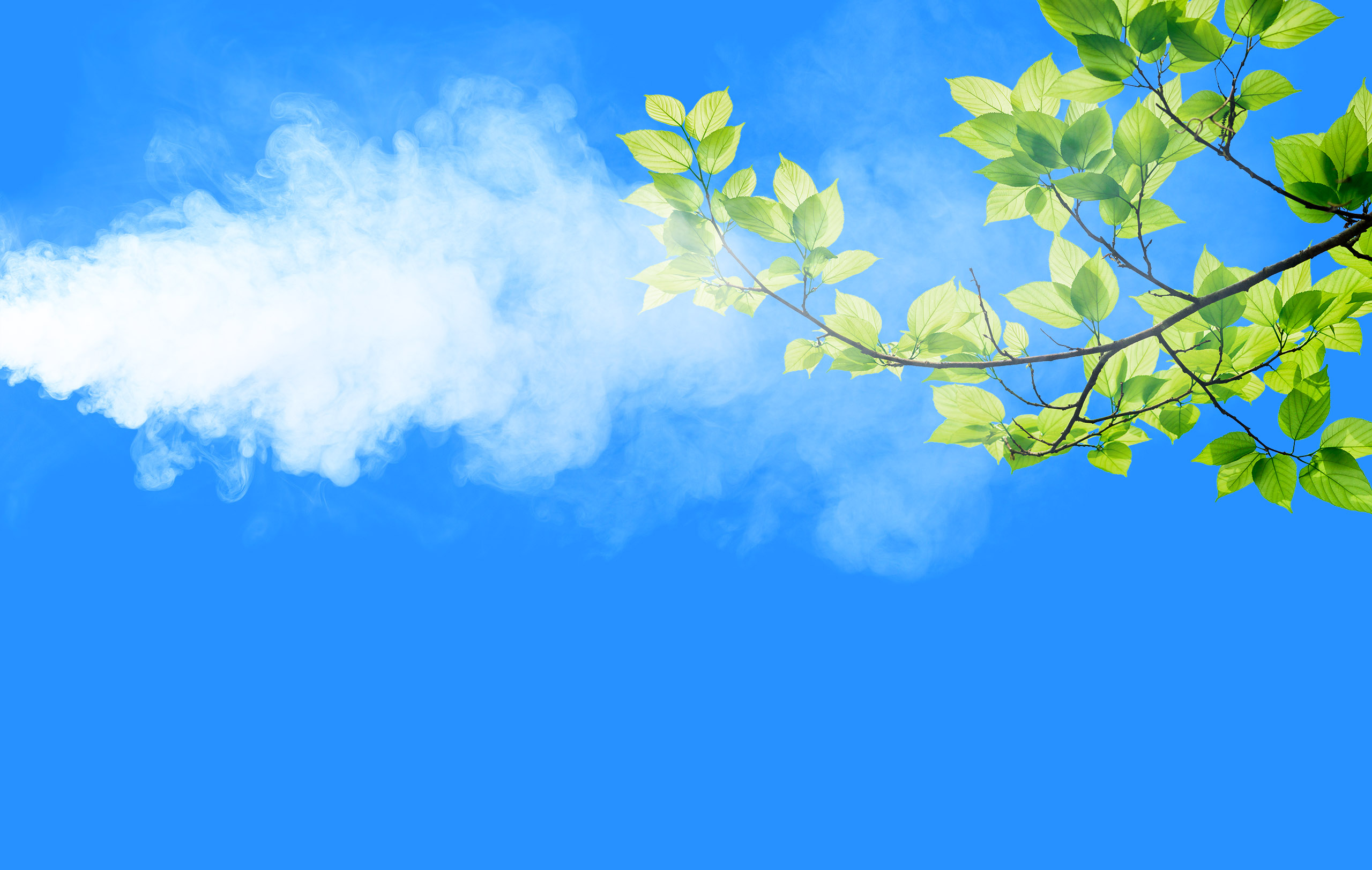 Disinfectant Fogging & Spraying Service - Go Fog It